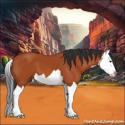 DCF Show Pony 12317963 | HorseGeneticsGame.com