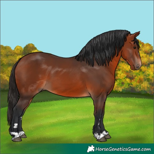 WLKR Follows Buttercream | HorseGeneticsGame.com