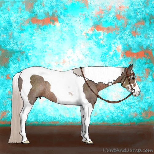 Record Missing | HuntAndJump.com