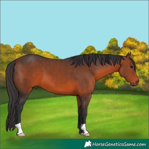 TK Blithering Width | HuntAndJump.com