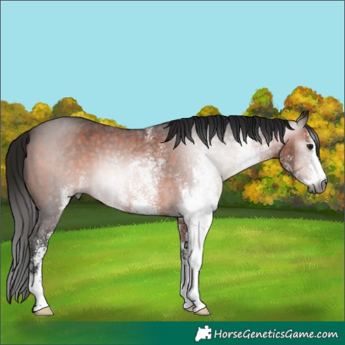 KF Usda Gopher | HorseGeneticsGame.com