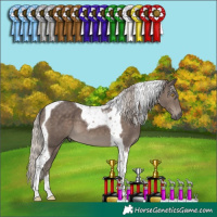 TFS Show Pony 13605164 | HorseGeneticsGame.com