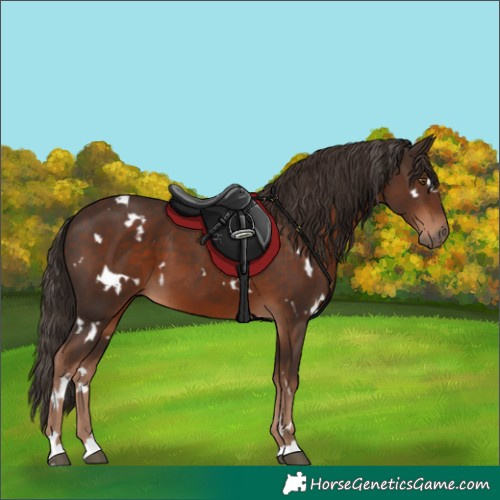 WLKR Wolf Holiday | HorseGeneticsGame.com