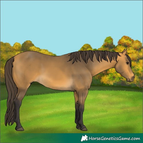 HP Mia | HorseGeneticsGame.com