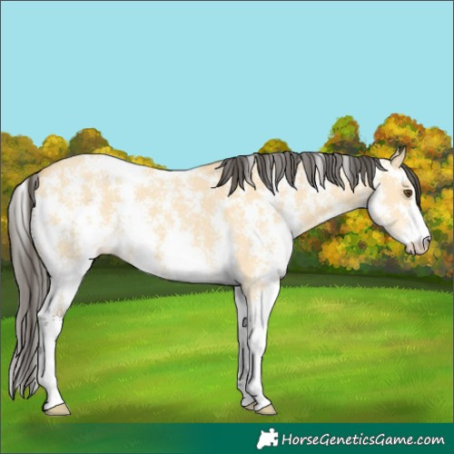 HP Leo Dreams | HorseGeneticsGame.com