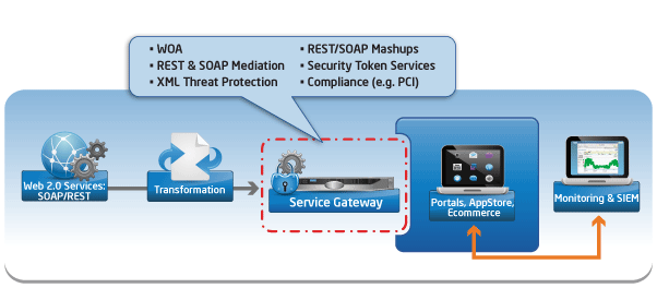 REST Web Services & API Security with Intel
