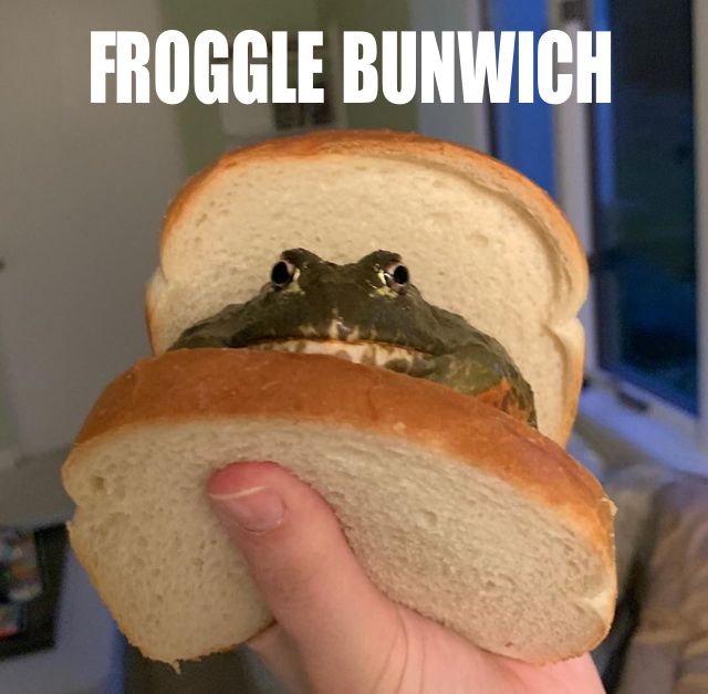 Froggle bunwich2.png