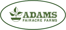 Adams Fairacre Farms - Kingston, NY | Kids Out and About Hudson Valley