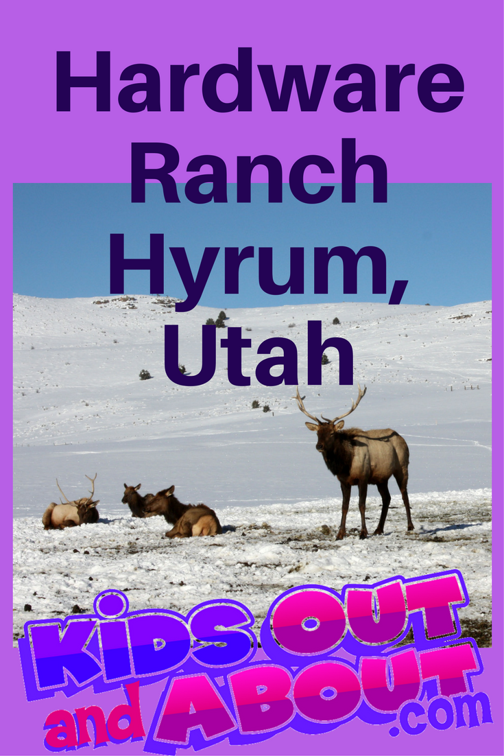 Hardware Ranch: the Place to See Wild Elk | What’s happening beyond ...