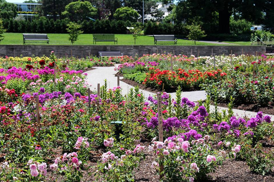 RBG Colour Contest | Kids Out and About Toronto