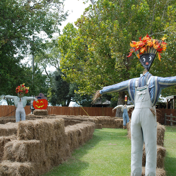 Fall Season at the Oil Ranch | Kids Out and About Houston