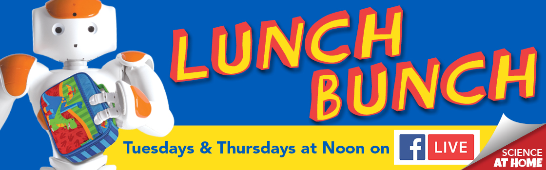 VIRTUAL EVENT: Lunch Bunch: Field Day at 12pm Eastern with Connecticut ...