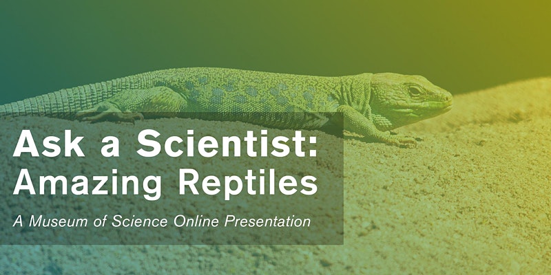 VIRTUAL EVENT: Ask a Scientist: Amazing Reptiles - #Livestream at 12pm ...
