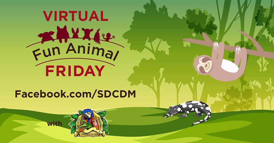 VIRTUAL EVENT: Live Fun Animal Friday: Sloth & Black and White Tegu at ...