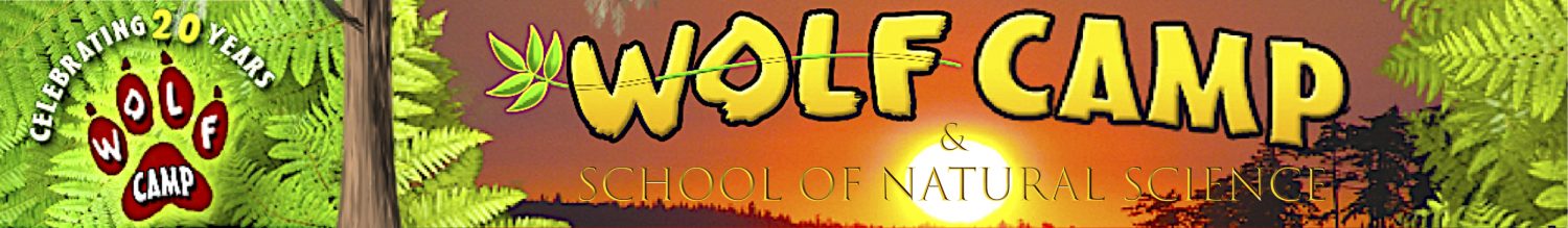 Online Summer Day Camps- Wolf Camp and the Conservation College | Kids ...
