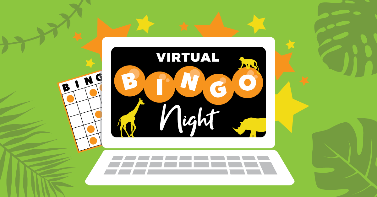 Virtual Bingo Night | Kids Out and About Los Angeles