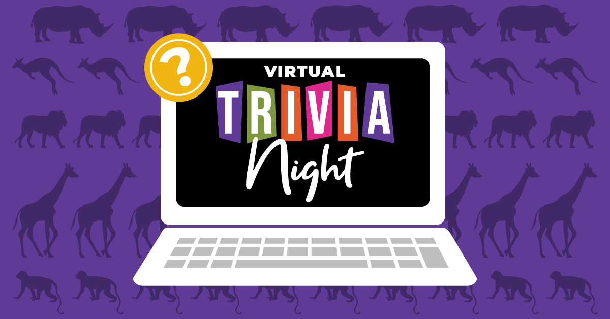 Virtual Trivia Night | Kids Out and About Portland