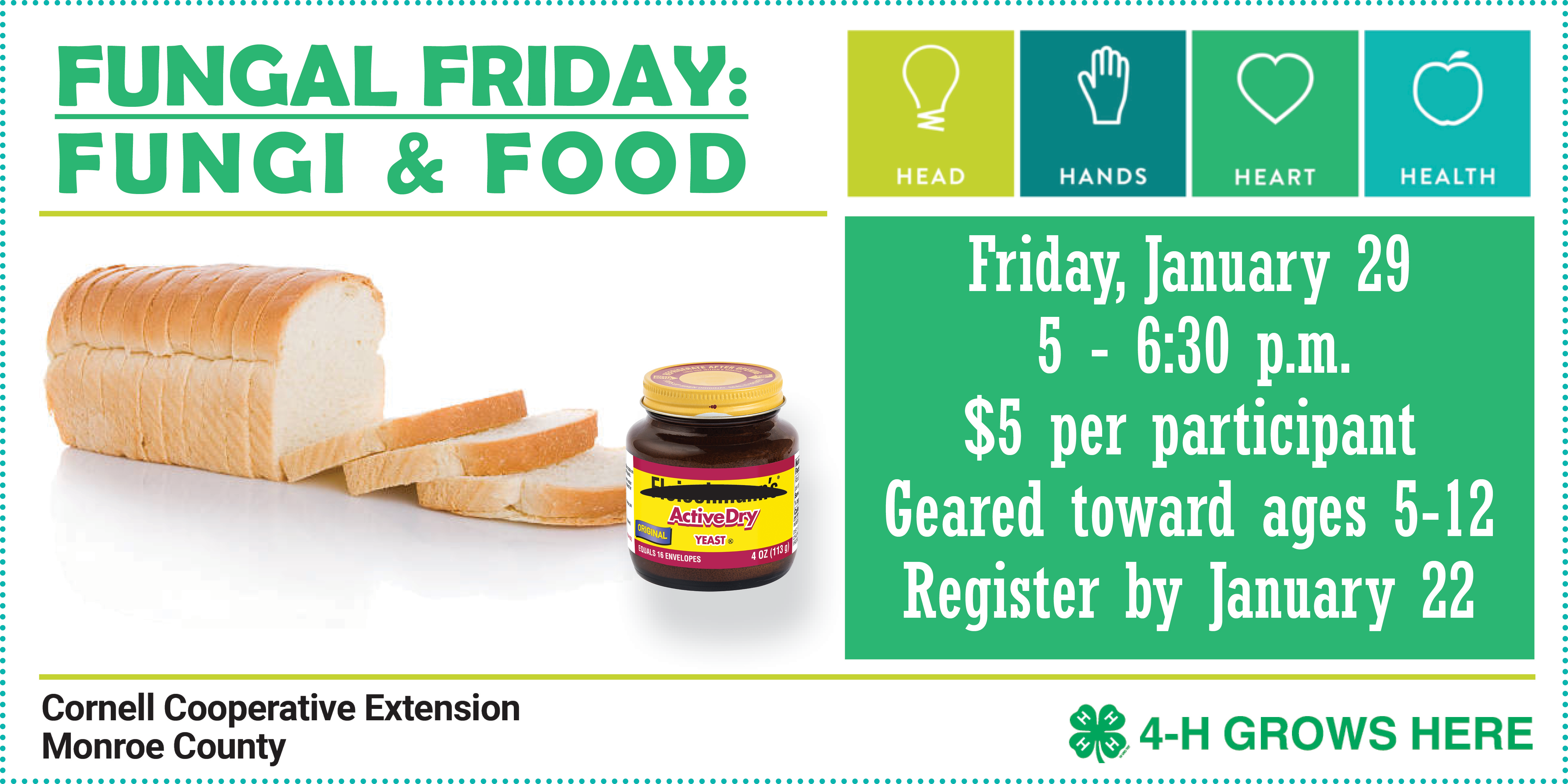 4-H Fungal Friday: Fungi & Food | What’s happening in Seattle