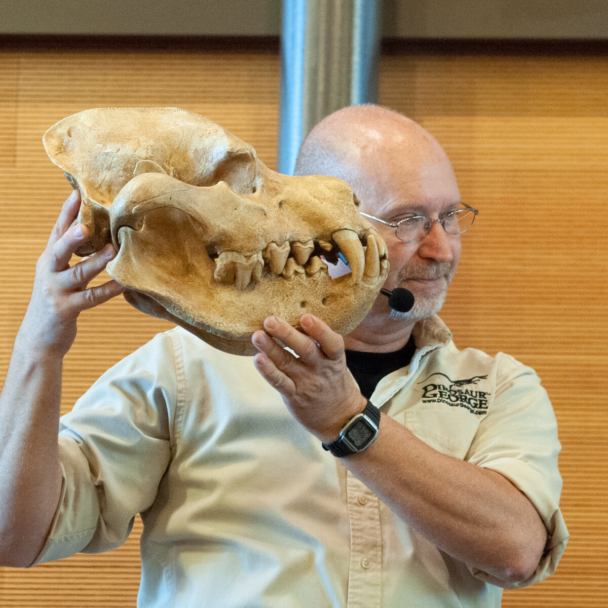 Dinosaur George - Ancient Sea Creatures | What’s happening in Charlotte