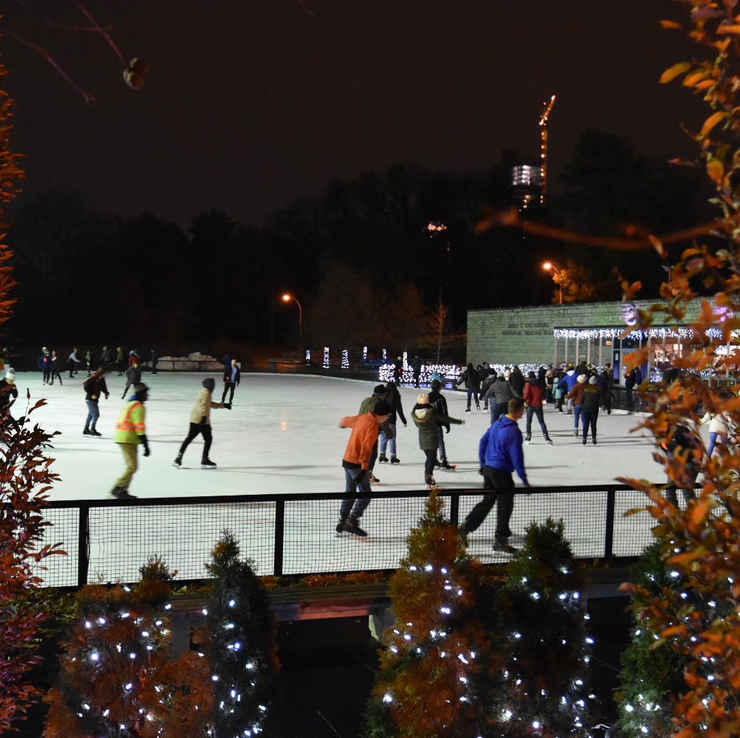 Ice Skating at Steinberg Ice Rink | Kids Out and About St. Louis