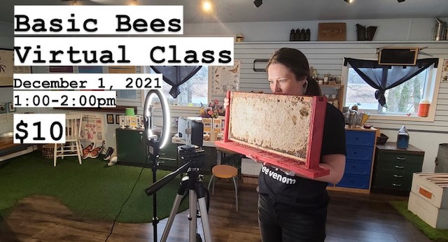 Basic Bees Virtual | Kids Out and About Long Island
