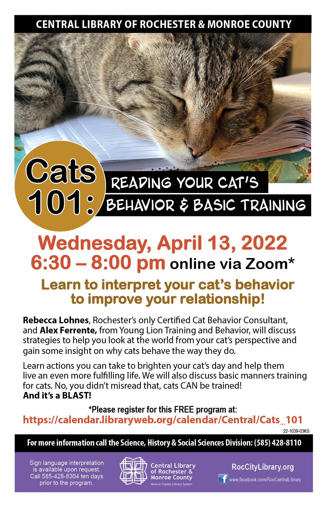 Cat's 101: Reading Your Cat's Behavior & Basic Training | What’s ...