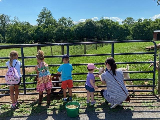 Kids to Parks Day at Temple Hall Farm Regional Park | Kids Out and ...