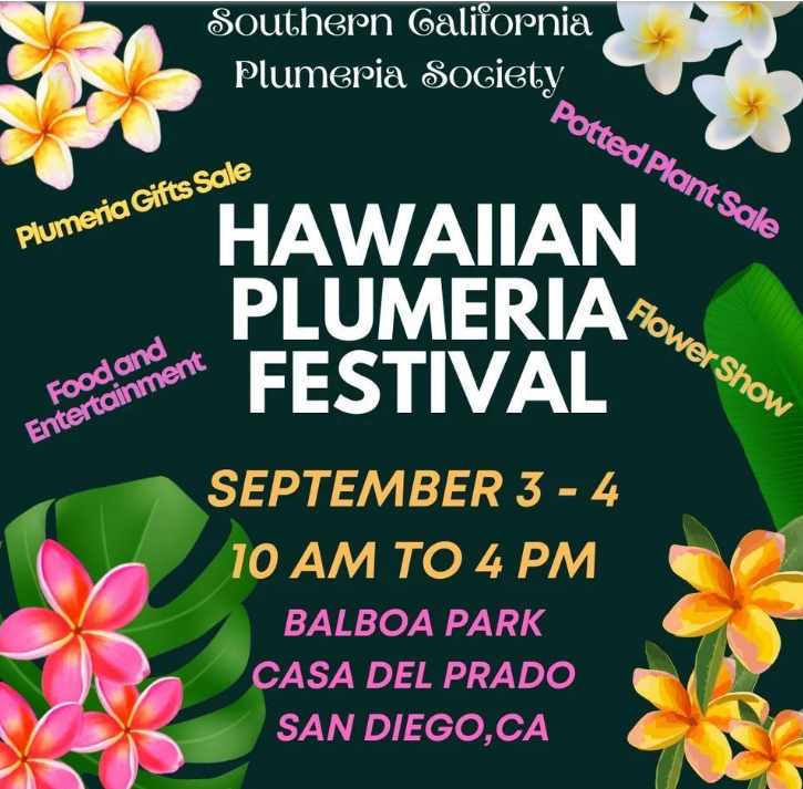 SoCal Plumeria Society's Hawaiian Plumeria Festival | What’s happening ...