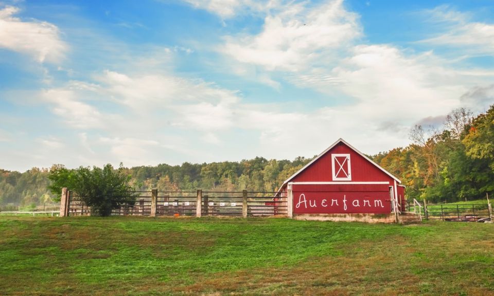 Auerfarm’s Annual Fall Festival | What’s happening in Fairfield County, CT