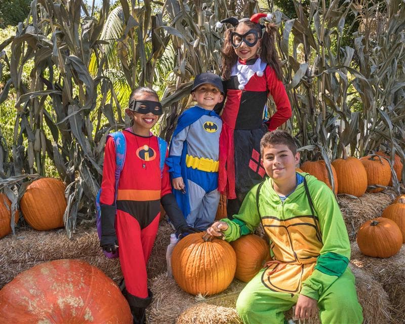 Boo at the L.A. Zoo - Los Angeles Zoo and Botanical Gardens | Kids Out ...