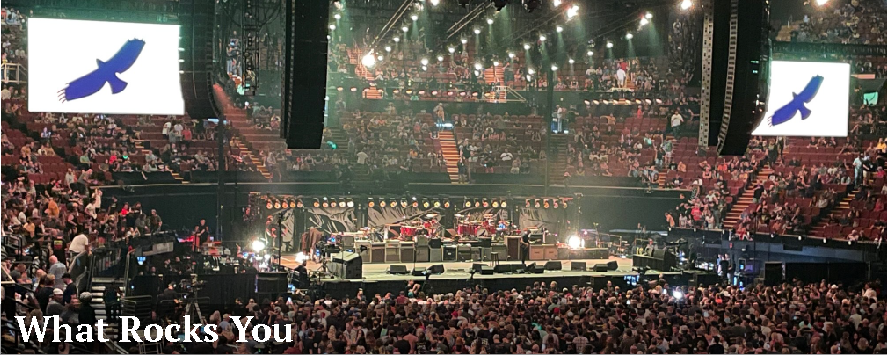 What Rocks You - October 6, 2022 | Kids Out and About DMV