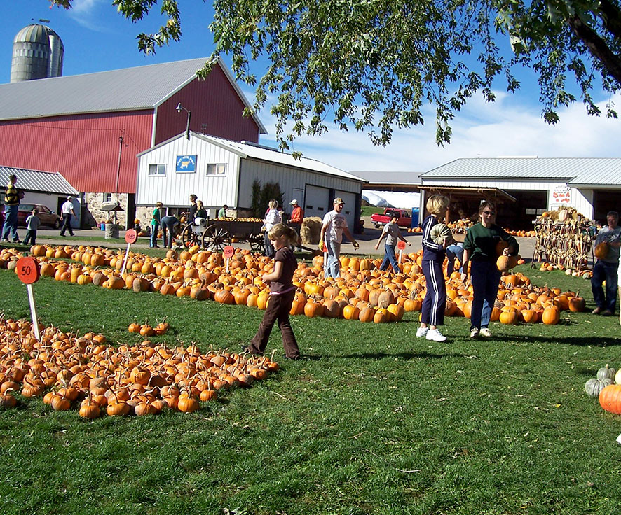 Fall Fun on the Farm! at Cozy Nook Farm | Kids Out and About Milwaukee