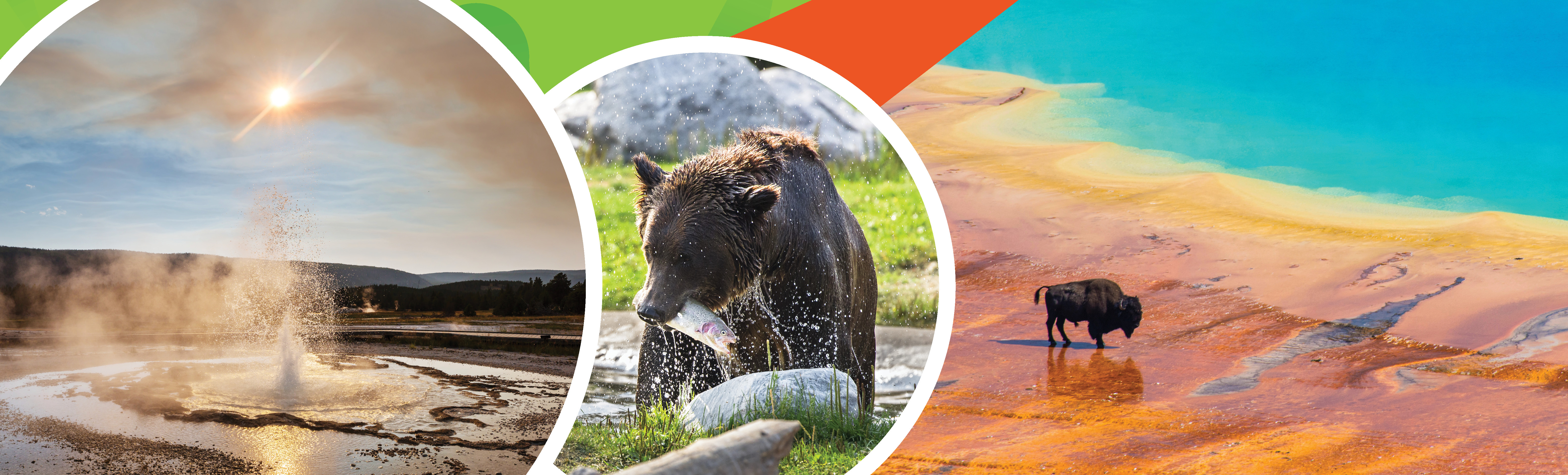 A Park Ranger's Introduction to Yellowstone National Park | Event at ...