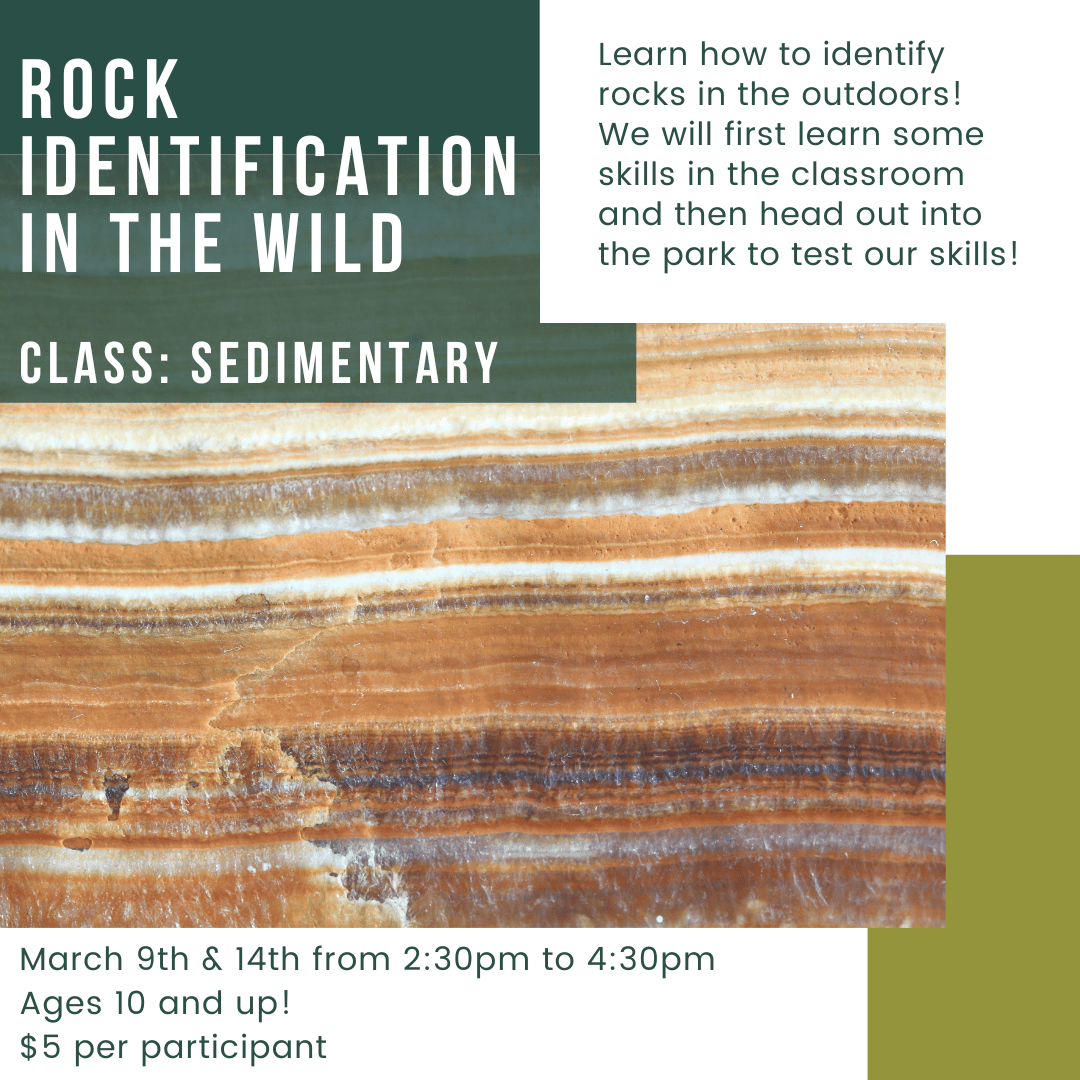 Rock Identification in the Wild: Sedimentary Rock ID | Kids Out and ...