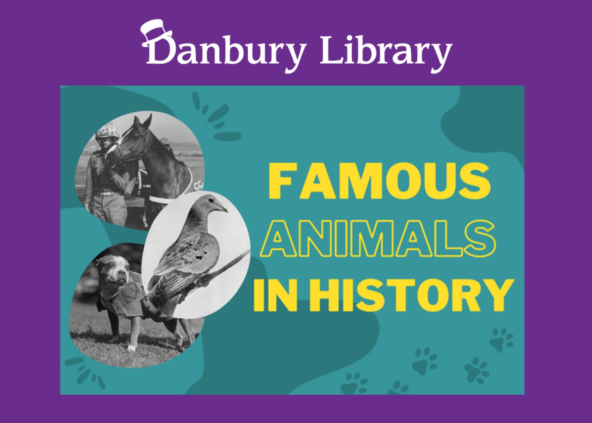 Famous Animals in History - a virtual program | Kids Out and About