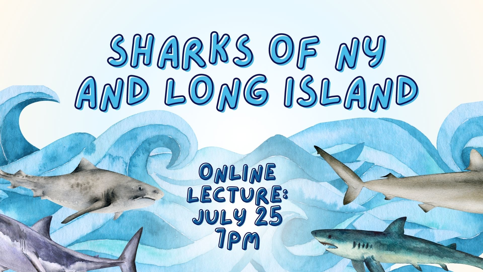 Sharks of NY & Long Island | What’s happening beyond your nest