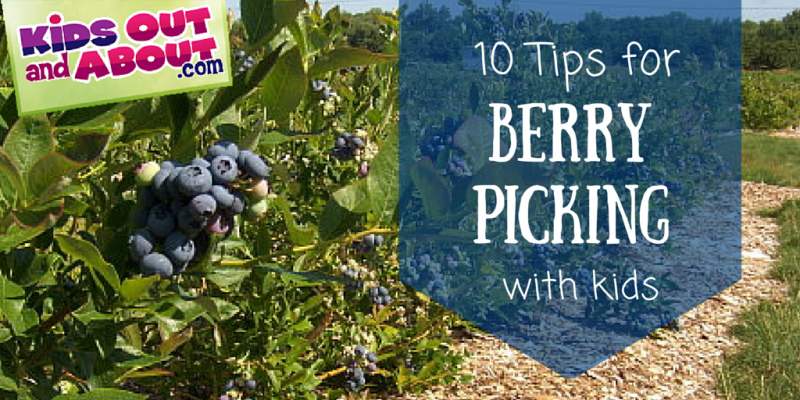 10 Tips for Berry Picking With Kids | Kids Out and About Austin