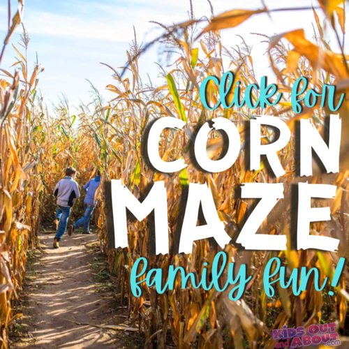 Corn Mazes in the Houston area | Kids Out and About Houston