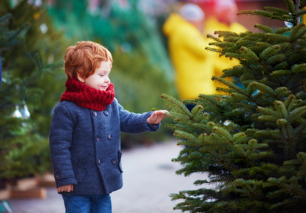 Christmas Tree Farms in the Albany, NY area | Kids Out and About Albany
