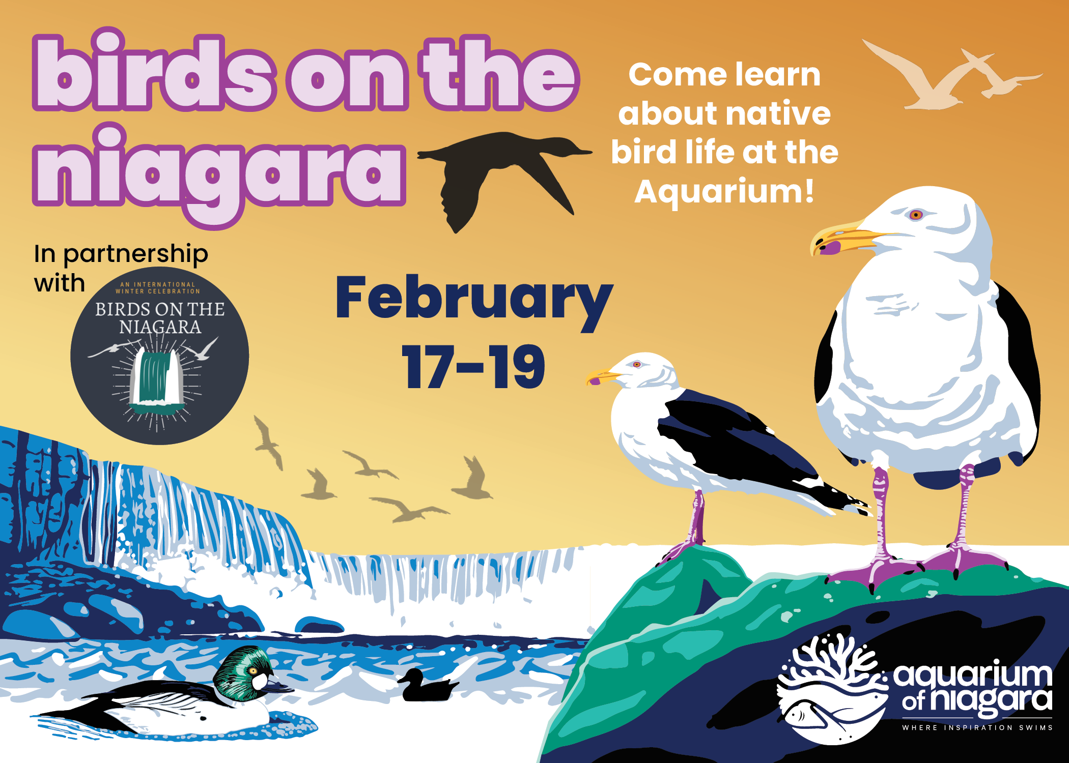 Birds on the Niagara | Kids Out and About Rochester