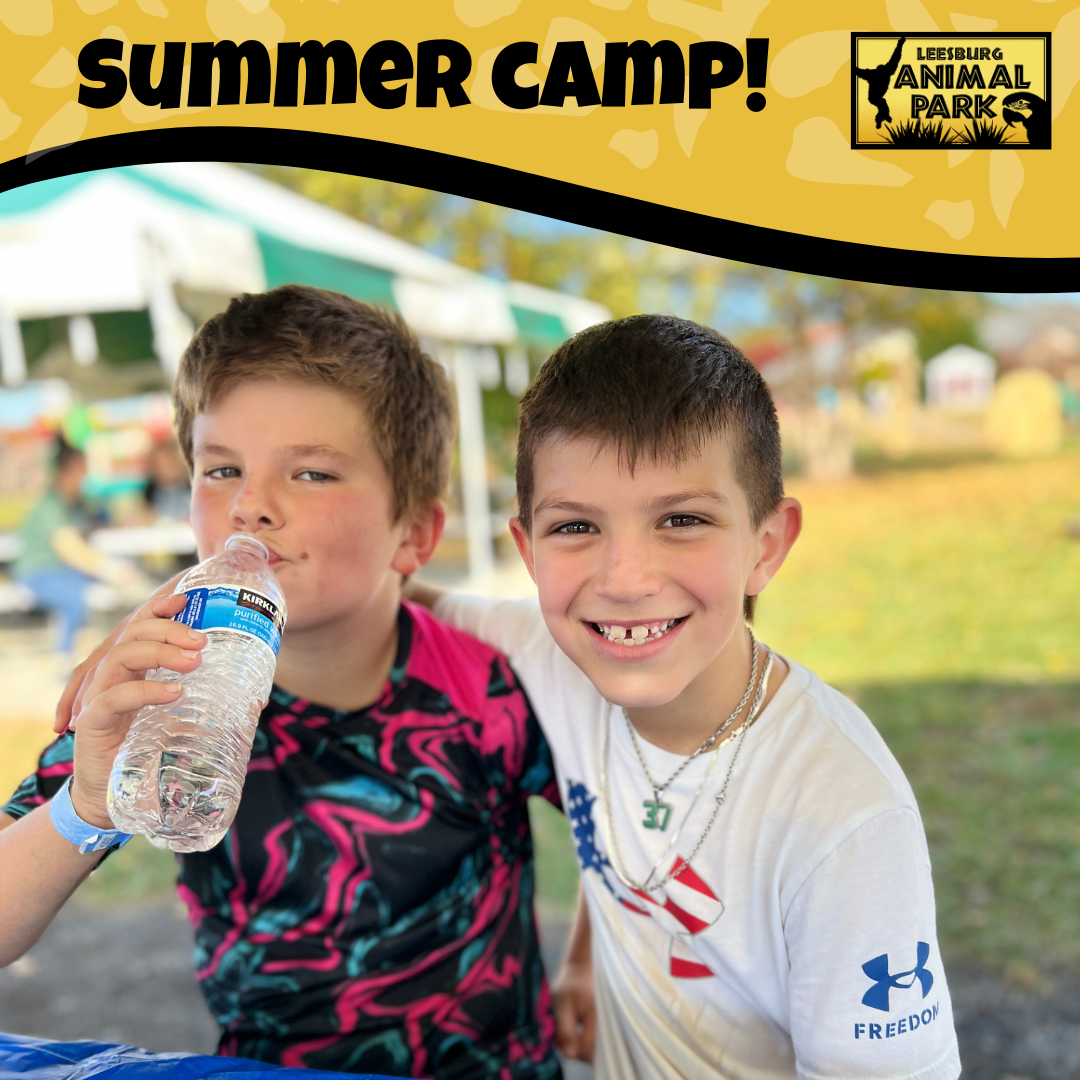 Leesburg Animal Park Summer Camps | Kids Out and About DMV