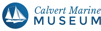 Creature Feature at Calvert Marine Museum | Kids Out and About DMV