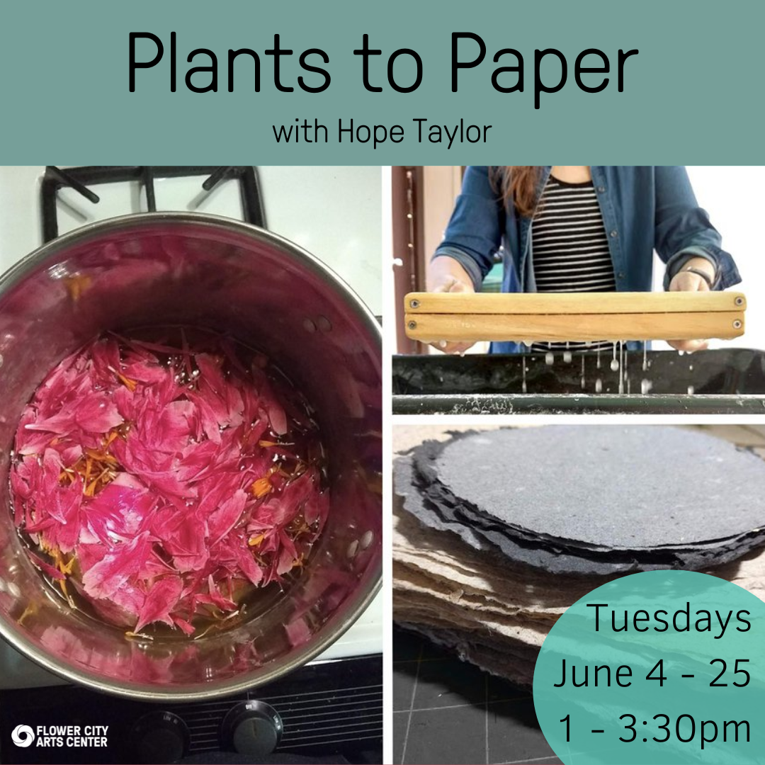 Plants to Paper: Papermaking with Natural Fibers | Kids Out and About ...