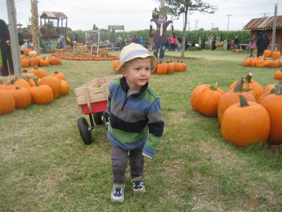 Hall's Pumpkin Farm Fall Fun | Kids Out and About Ft. Worth