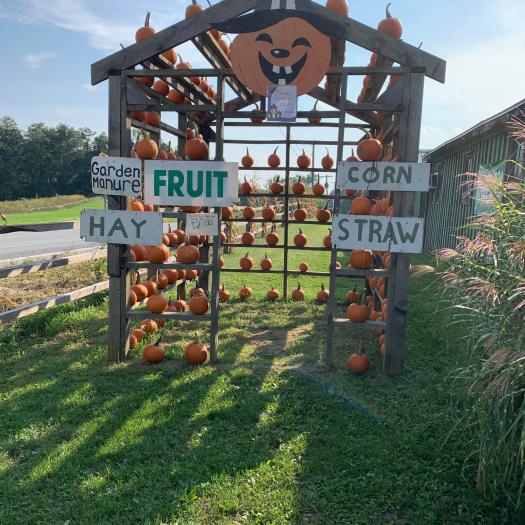 Hahn Farm | Kids Out and About Hudson Valley