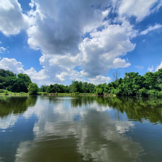 Saint Louis County Parks and Recreation | Kids Out and About St. Louis