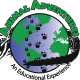 Animal Adventures Family Zoo & Rescue Center | Kids Out and About Boston