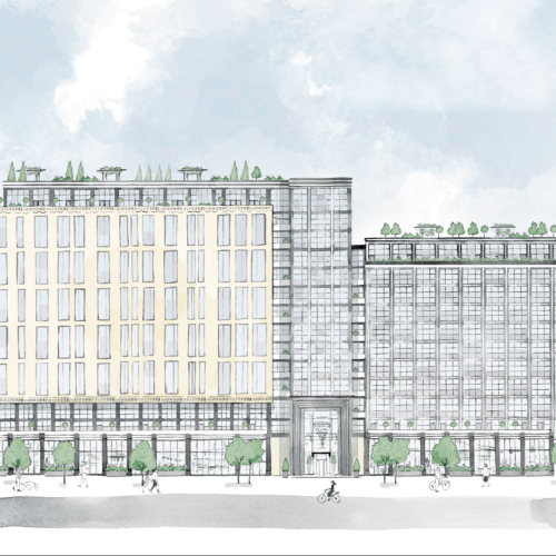 Brand Strategy & Marketing Agency - King & Partners