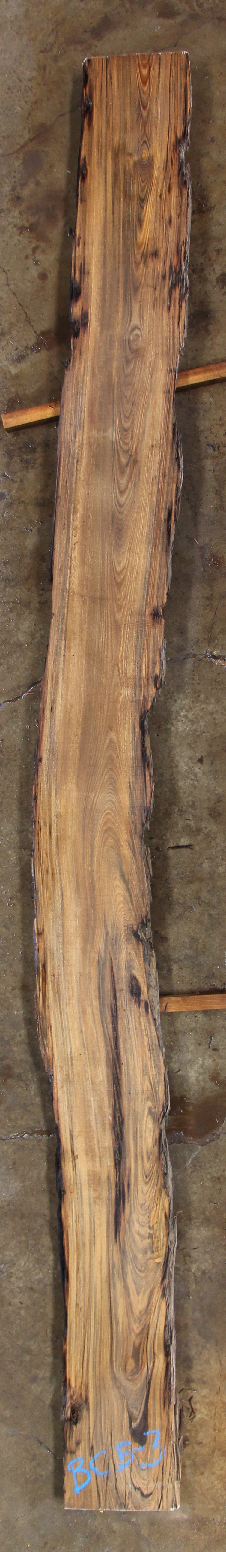 Krantz Recovered Woods | Buried Cypress Slab BC005-03