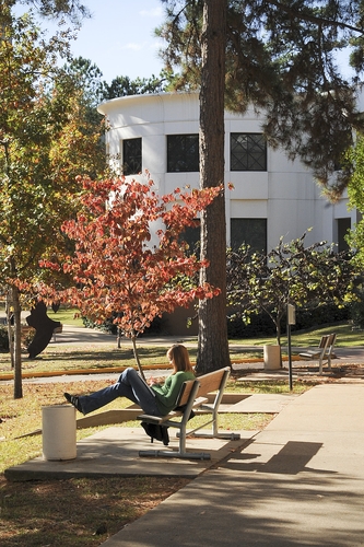 Stephen F. Austin State University, Nacogdoches, Texas - College Overview